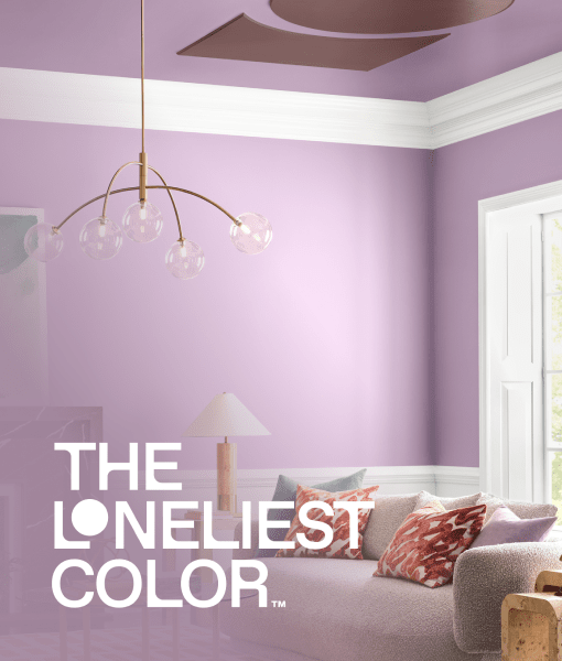 Sherwin-Williams Color Sample Ordering
